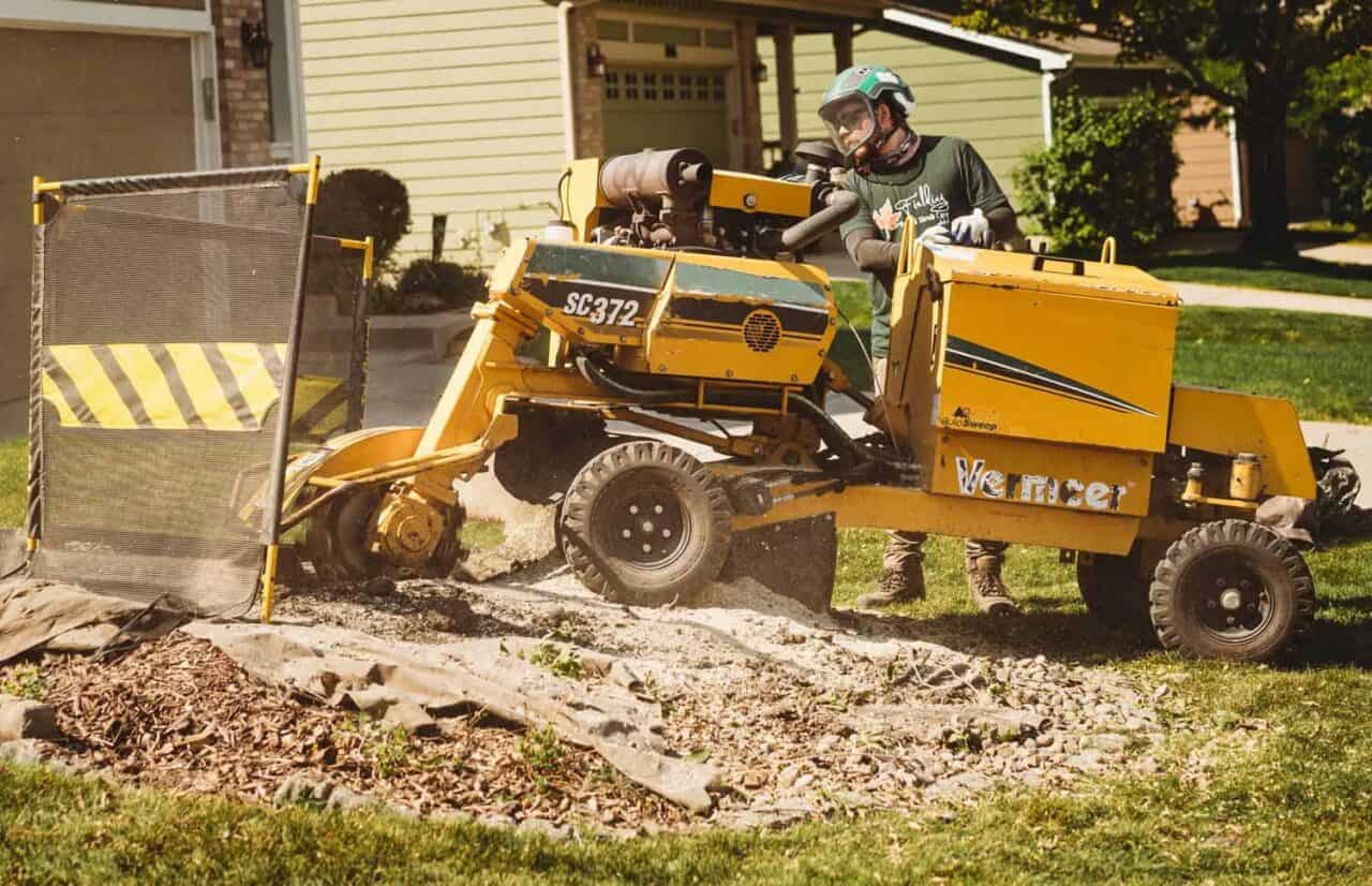 Tree Stump Grinding Guide | Why & How to Remove Stumps