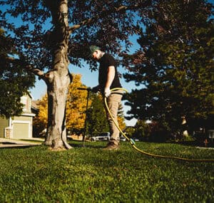Tree Service Denver, Tree Care Denver - Fielding Tree Care